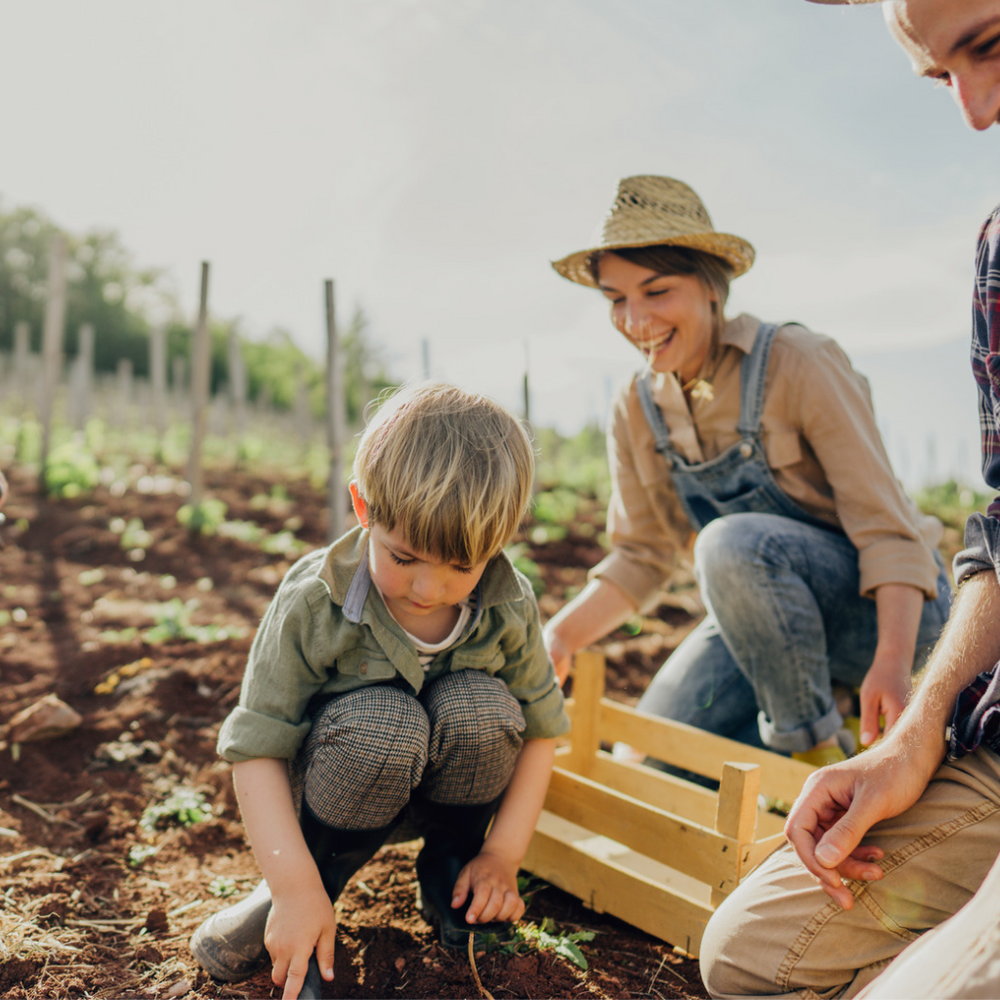 10 Reasons Why Organics Are So Good | Immunity Fuel AU